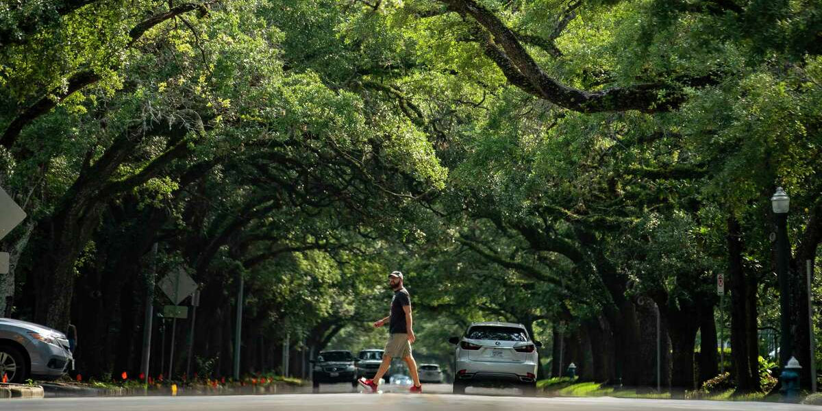 The Importance of Tree Equity & How It Impacts Our Neighborhoods and t ...