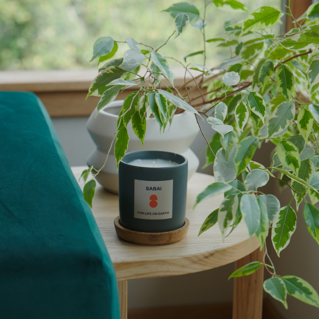 Sabai Design: Affordable, Sustainable & Convenient Furniture